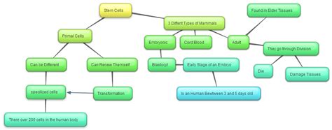 Concept Maps Stem Cells