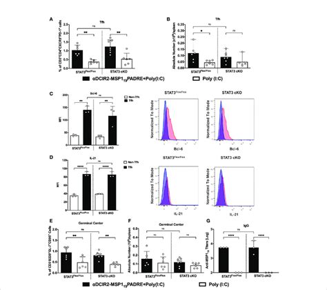Stat3 Signaling Pathway Does Not Control Cdc2 Ability To Prime Tfh Download Scientific Diagram