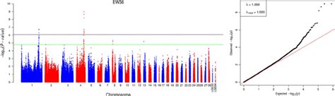 Manhattan Plot Left And Quantile Quantile Plot Right Of The