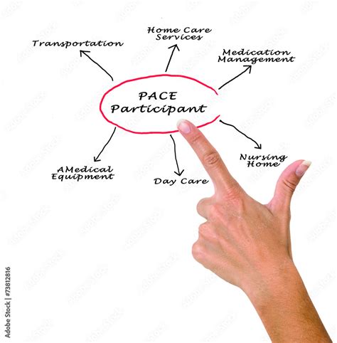 Diagram Of PACE Stock Illustration Adobe Stock