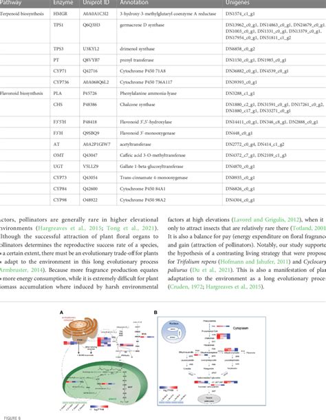 Information Of The Candidate Genes Associated With Elevation Involved