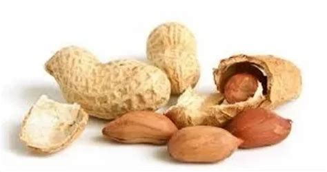 Ground Nuts Testing Services At ₹ 1000sample In New Delhi Id