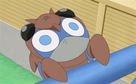 몇기 몇화인가요 개구리 중사 케로로 지식in