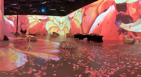 Interactivity At The Illuminarium