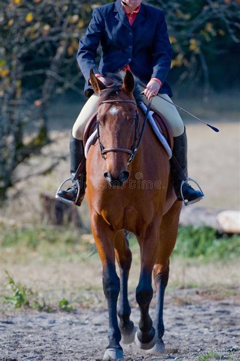 Jockey Montando Una Carrera De Caballos En La Pista De Carreras El