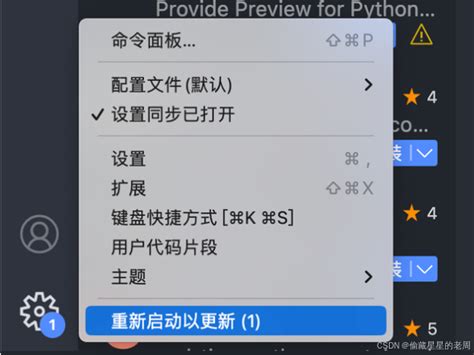 Vs Code配置使用python，超详细配置指南！vscode Python插件 Csdn博客