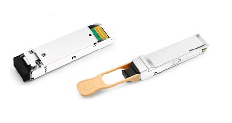What Are The Sfp And Qsfp Ports Of Switches Fibermall