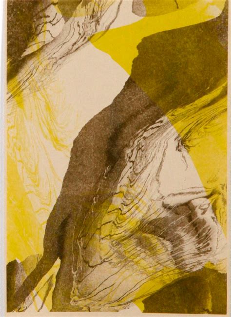 Andrew Edgar Recursive Relations Bird Spikes And Local Flora The Library Project