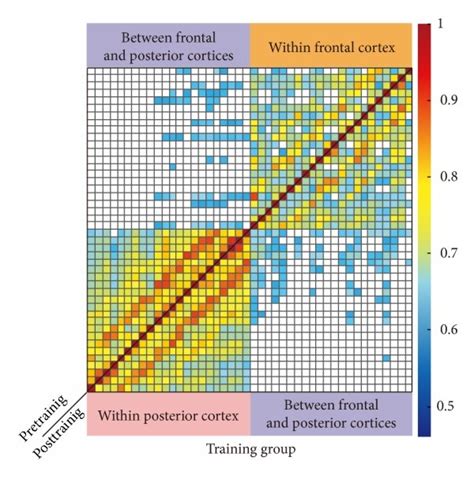 Pre And Posttest Spontaneous Hbo Functional Connectivity Correlation