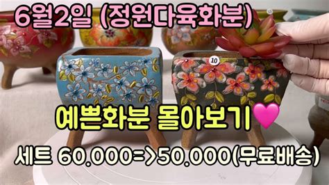 2024년 6월 2일 예쁜화분 몰아보기🩷정원다육화분 정원다육 수제공방분 예쁜화분 다육화분 다육화분싸게파는곳 다육이 Youtube