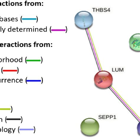 Protein Protein Pathway Analysis Illustrating Significantly Download Scientific Diagram