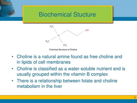 Ppt The Choline Connection A Healthcare Professionals Guide To Choline Fetal Development