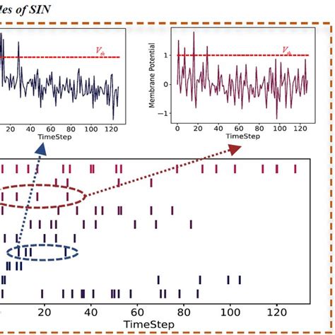 The Conversion Errors And Their Influence On The Distribution Of Snn