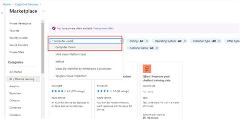 Image Analysis In ASP NET Core Using Azure Cognitive Service Dotnet Copilot