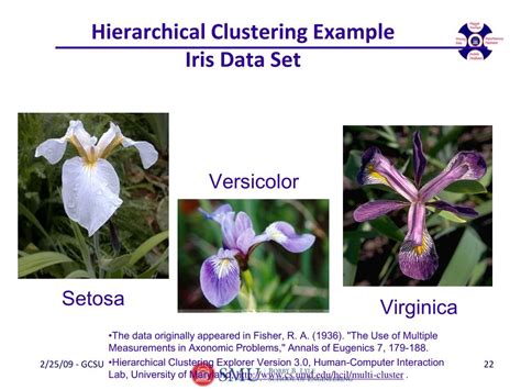 Ppt Adventures In Data Mining Powerpoint Presentation Free Download