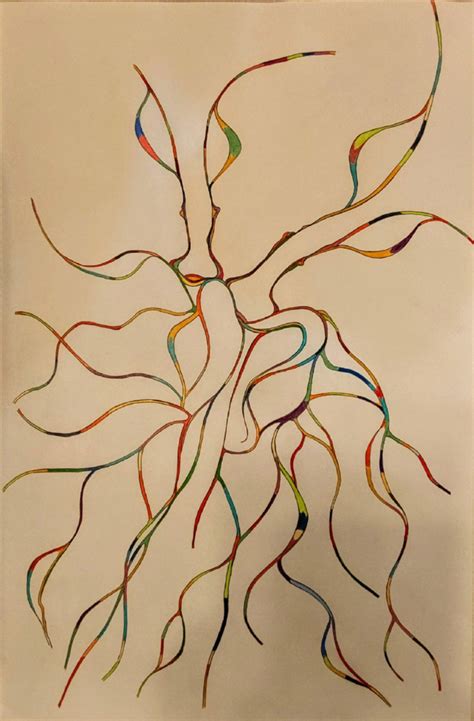 Simplicity And Complexity Timeless Voices Usa