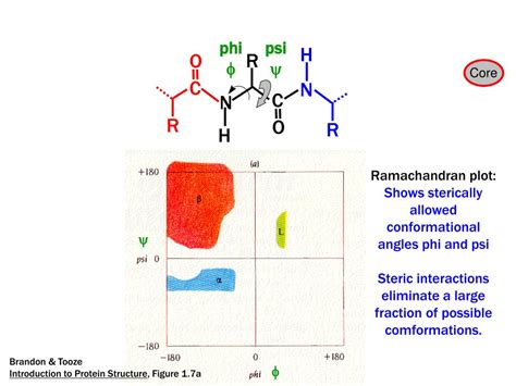 Ppt Visualizing Protein Structures And Structural Bioinformatics