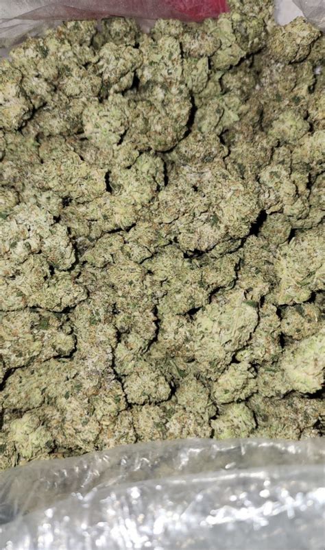 Topanga Canyon Og Jungle Boys Pack Trapper