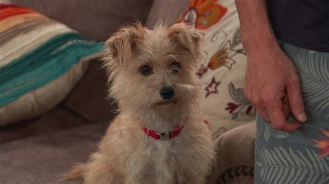 Nicky Ricky Dicky And Dawn Season 1 Episode 7 Info And Links Where To Watch