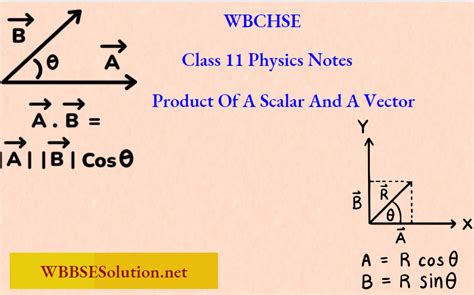 WBCHSE Class 11 Physics Notes For Product Of A Scalar And A Vector WBBSE Solutions