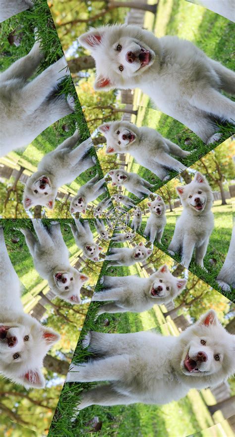 GitHub Jerry G Processing Conformal Image Mapping