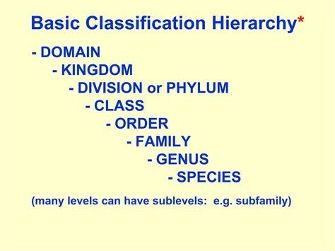 230 Classification Systematics Animal Phylogenyppt