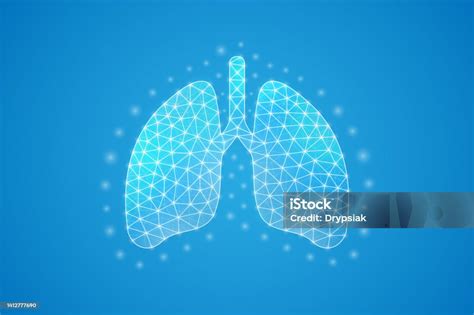 폐는 흰색으로 연결된 점이있는 낮은 폴리 기호입니다 3d 기하학적 다각형 장기 해부학 호흡기 이식 디자인 벡터 일러스트레이션 선에 대한 스톡 벡터 아트 및 기타 이미지