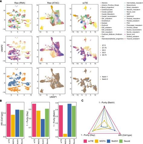 Data Integration And Inference Of Gene Regulation Using Single Cell Temporal Multimodal Data