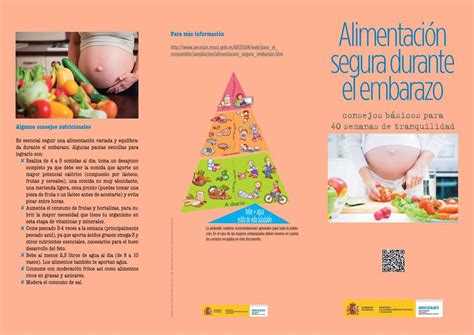 Alimentacin Segura En El Embarazo 1 1 Gema Udocz