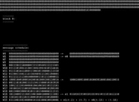 Bitcoin Computes This Sha 256 Hash Function 550000000000000000