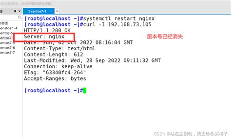 Nginx的优化，安全与防盗链nginx 编译安装防盗链模块 Csdn博客