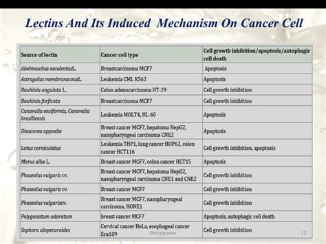 Lectins In Cancer Therapy Pptx