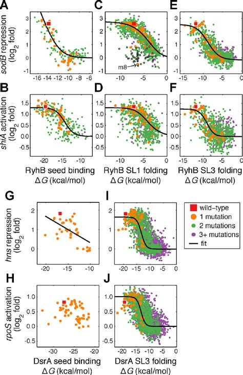 Figure 3 From Large Scale Mapping Of Sequence Function Relations In Small Regulatory Rnas