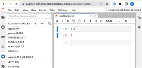 Add Install FZJ JSC Jupyter Remaining Job Time Plugin In The Compute Node Issue 57