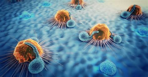 El Avance En La Inmunoterapia Que Duplica La Eficacia De Las Células T Para Combatir El Cáncer