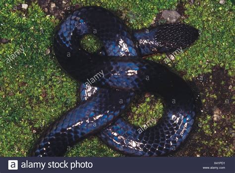 Truncate Stock Photos Truncate Stock Images Alamy