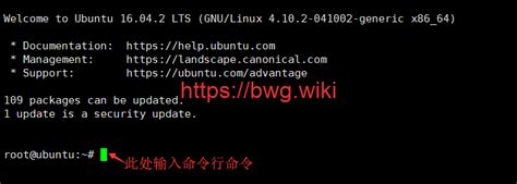 Windows上利用xshell远程连接并管理搬瓦工vps教程 搬瓦工