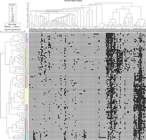 Dendrogram Based On Two Way Cluster Analysis Showing Distribution