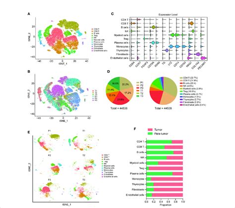 Tumor Environment In Thyroid Cancer T Sne Visualization Of Tumor Download Scientific Diagram