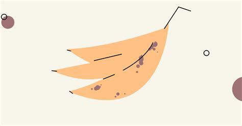 Skin Ulcers A Comprehensive Guide To Skin Ulcer Treatment Types And