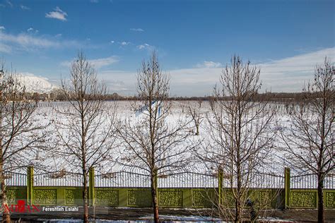 بارش برف در کرج