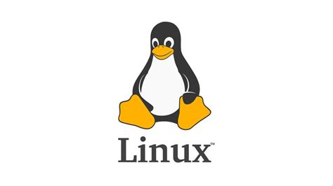 7 Best Linux Operating Systems You Should Try Deltias Gaming