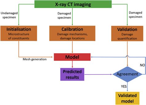 Schematic Of The Different Contributions Of X Ray Ct Imaging In The Download Scientific Diagram