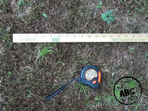 Outdoor STEM Measuring Tree Height From ABCs To ACTs