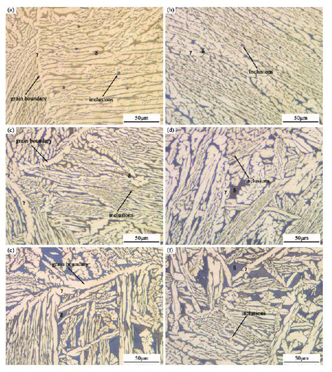 Microstructure Of The Three Samples With High Magnification Ab S1 Download Scientific