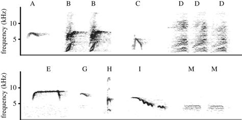 Spectrogram Illustration Of The Nine Different Note Types That Great