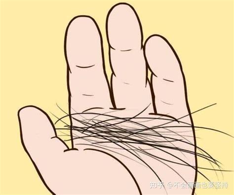 掉头发吃什么东西可以改善 知乎