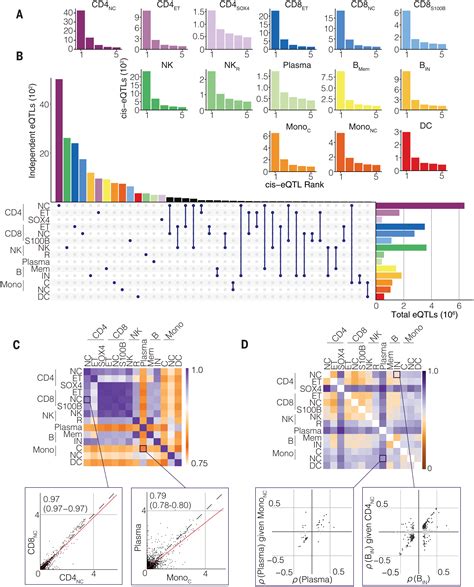Single Cell Eqtl Mapping Identifies Cell Typespecific Genetic Control