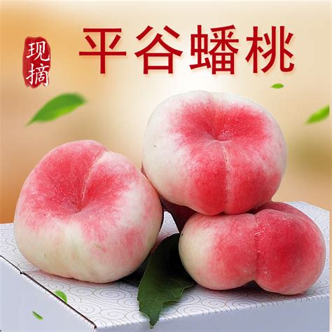 大蟠桃子 大山谷图库