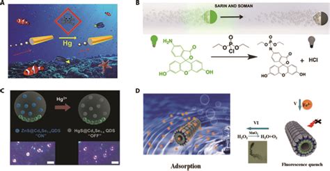 Tailoring Functional Micromotors For Sensing Research
